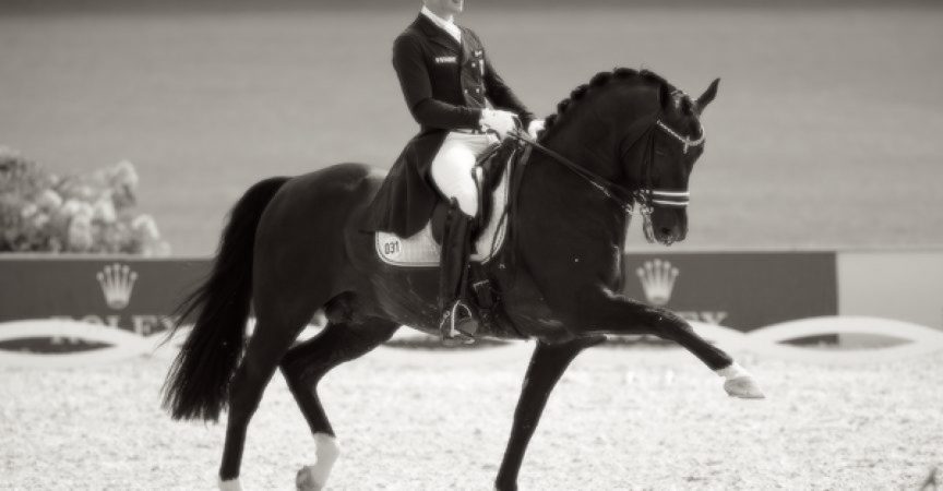 Totilas. How a Magnificent Stallion Became a Poor Creature. – Bee and ...