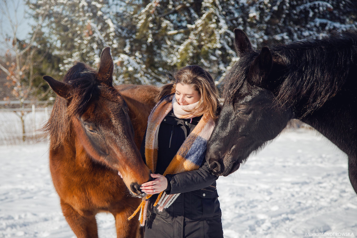 From Spooky Horse to Soulmate – Bee and the Horse